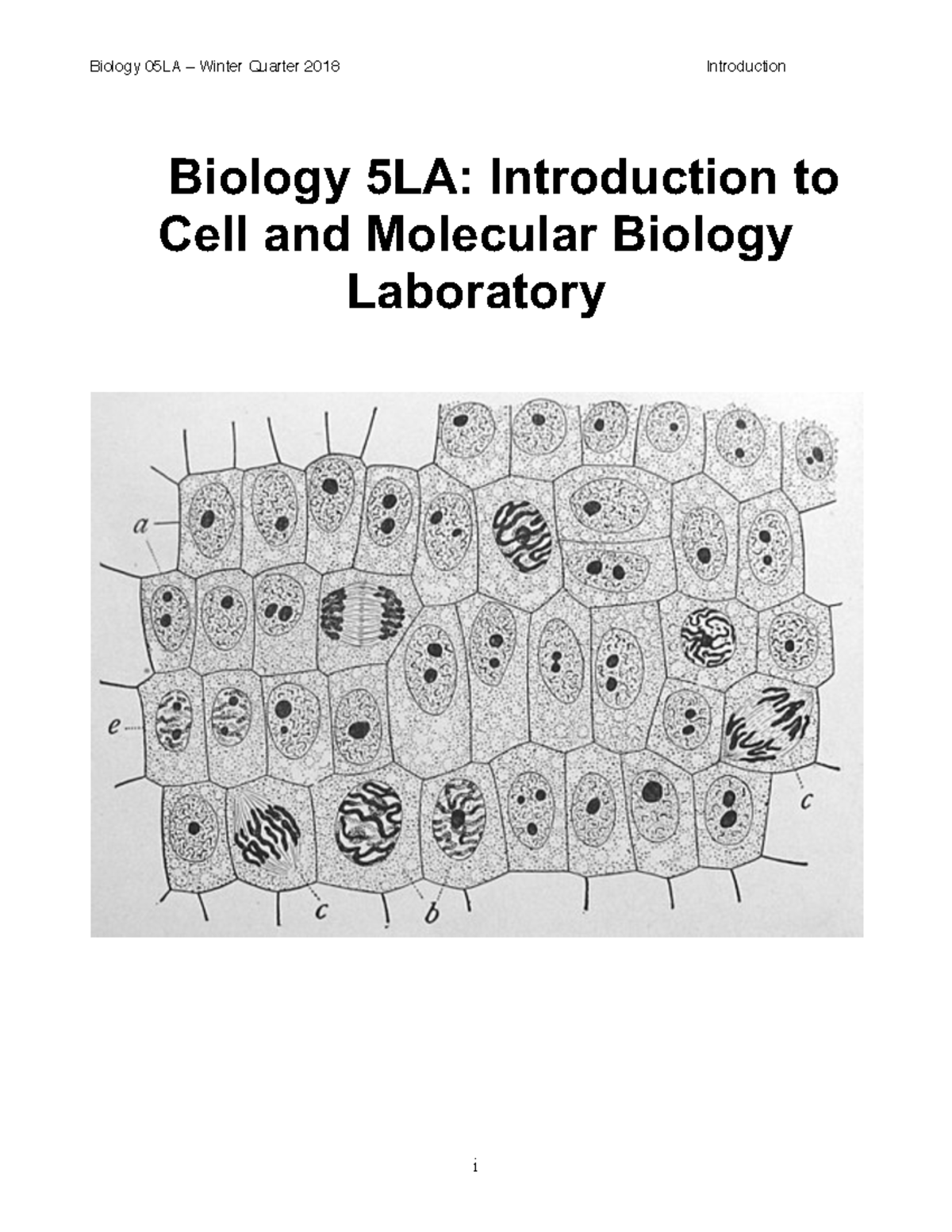2018 W Biol5LA lab manual - Biology 05LA – Winter Quarter 2018 ...