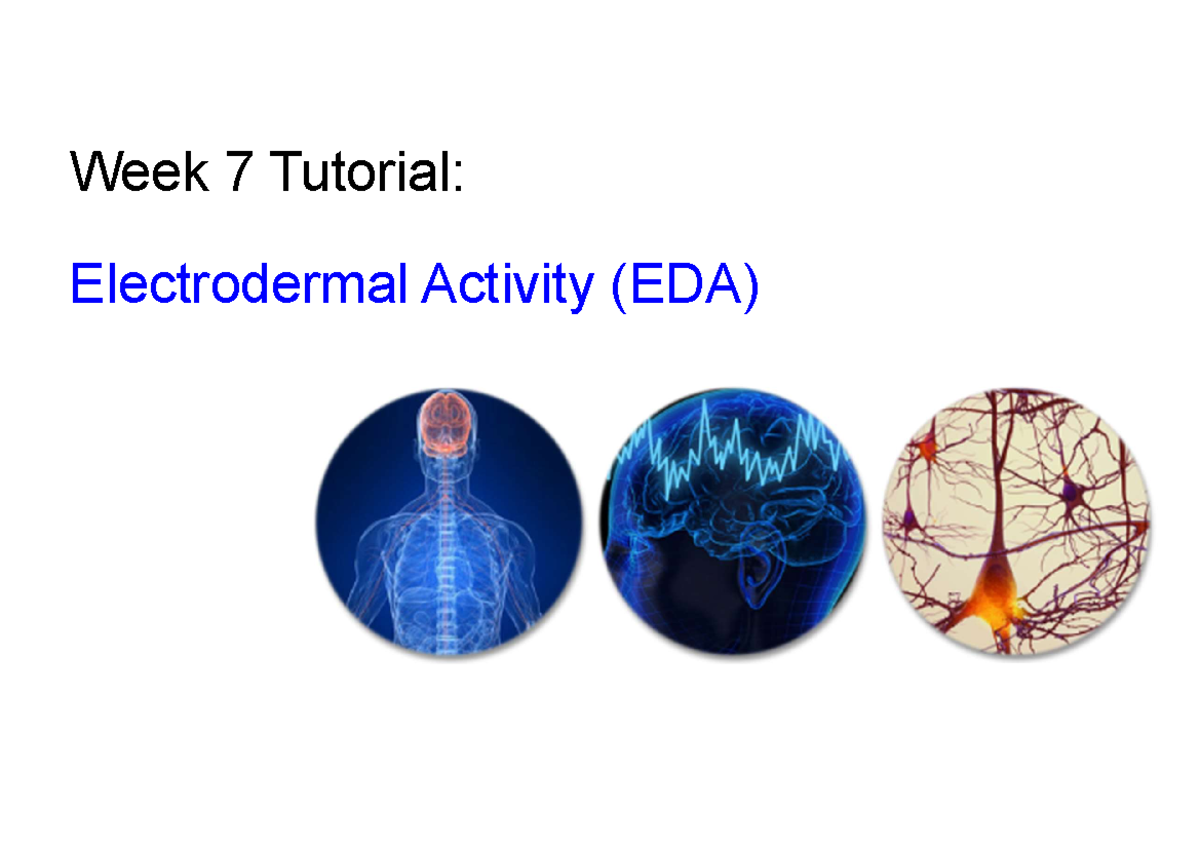Week 7 electrodermal activity - Electrodermal Activity (EDA) Week 7 ...