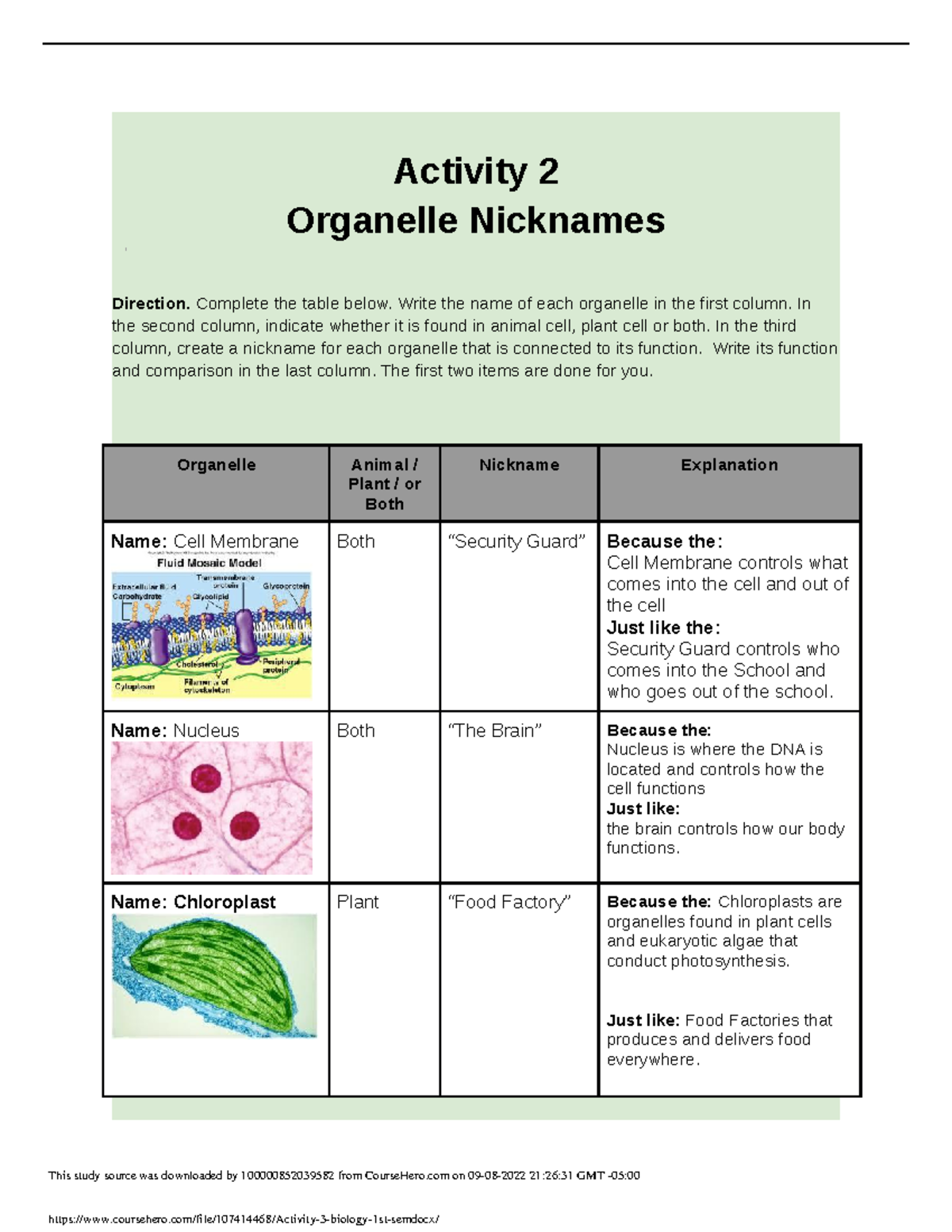 Activity 3 biology 1st sem - Activity 2 Organelle Nicknames Direction ...