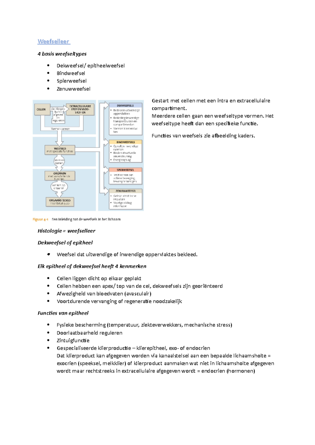 Weefselleer PXL - Weefselleer 4 basis weefseltypes Dekweefsel ...