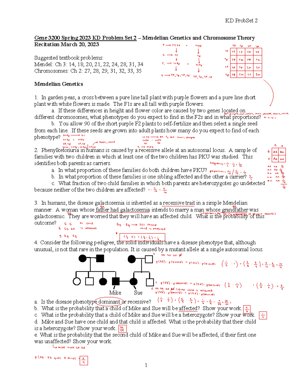 Mendel Genetics and Chromosome Theory Problems - KD ProbSet 2 Gene 3200 ...