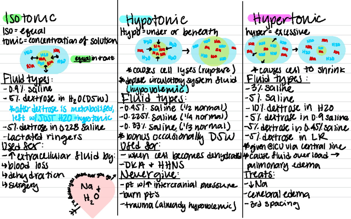 Isotonic hypotonic hypertonic - 150tOMC Hypotonic Hypertonic 150 ...