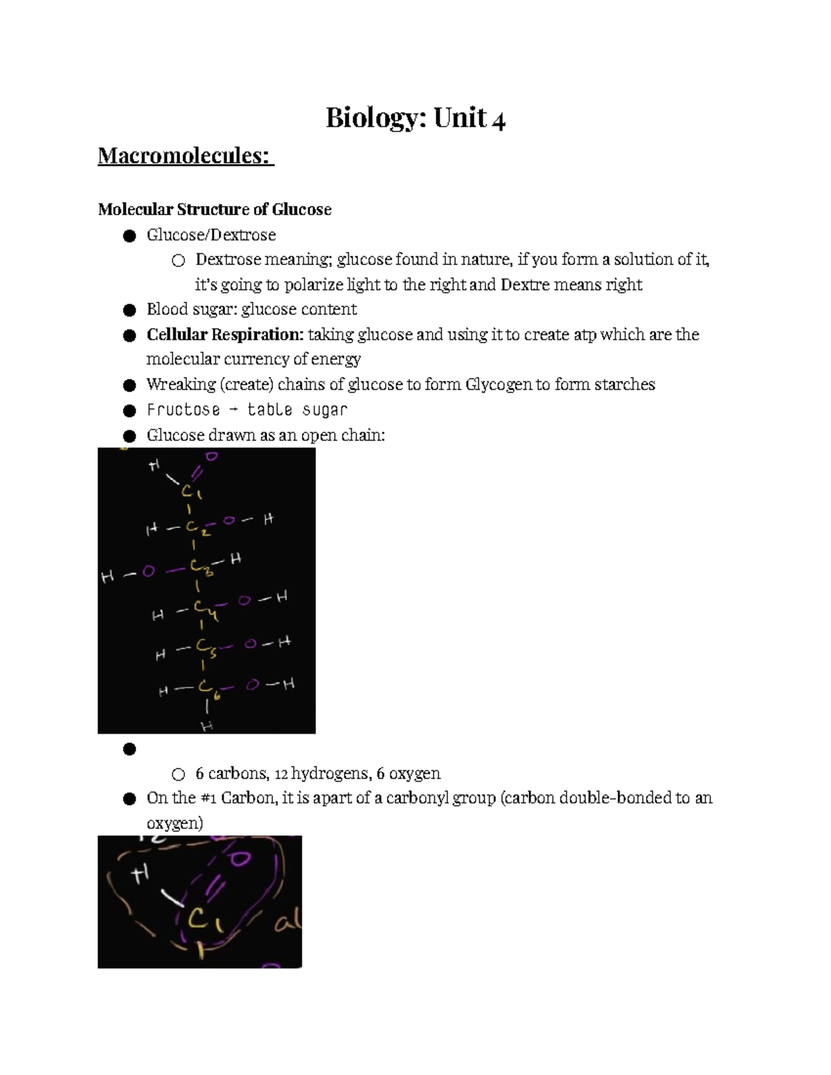Biology I (BIOL-1403) Unit 4 - Biology: Unit 4 Macromolecules ...