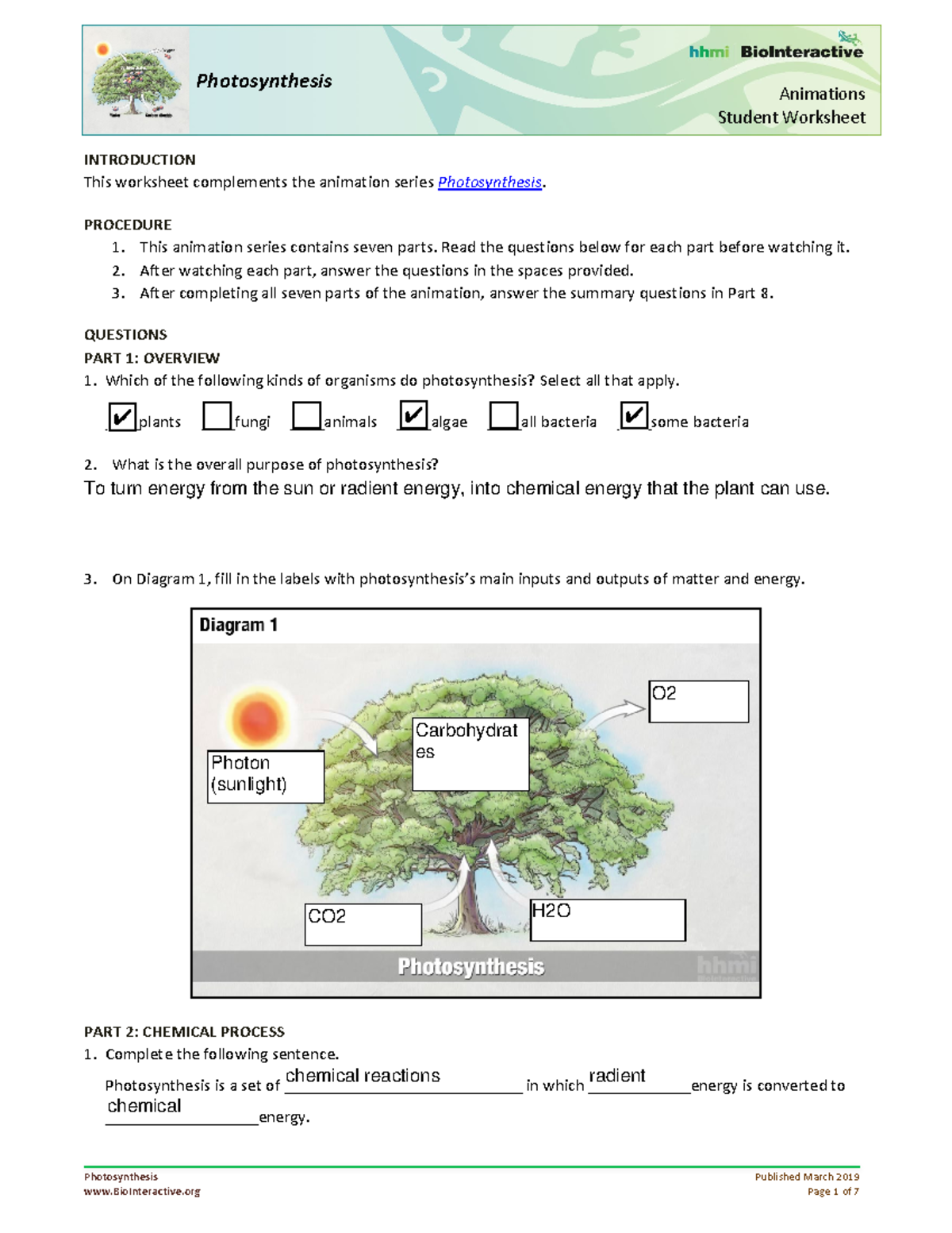 Photosynthesis Biointeractive Animations Student Worksheet