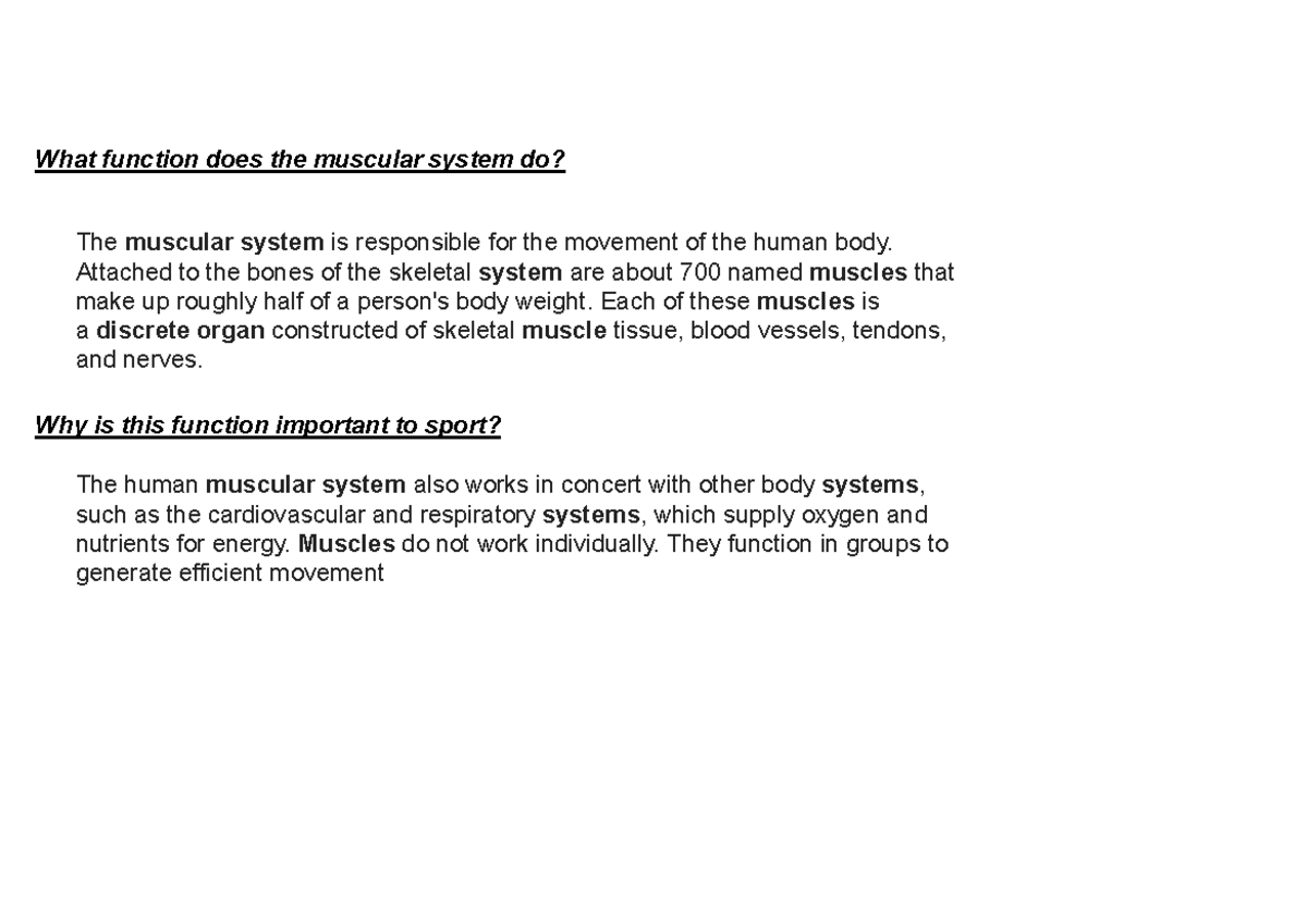 business marklet - What function does the muscular system do? The ...