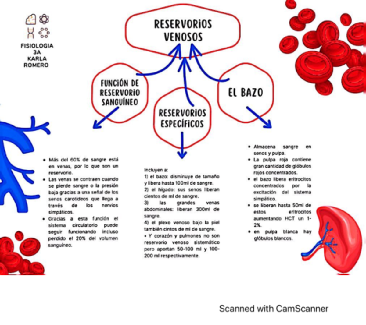 Reservorios venosos. Guyton - FISIOLOGIA Y FISIOPATOLOGÍA - Studocu