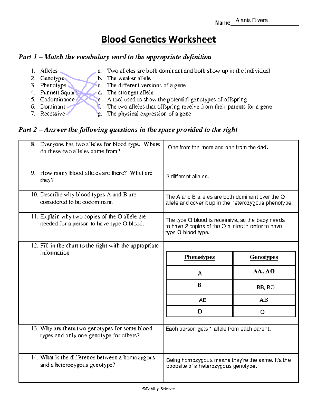Blood Genetics Worksheet - PDF - ©Schilly Science Name ...