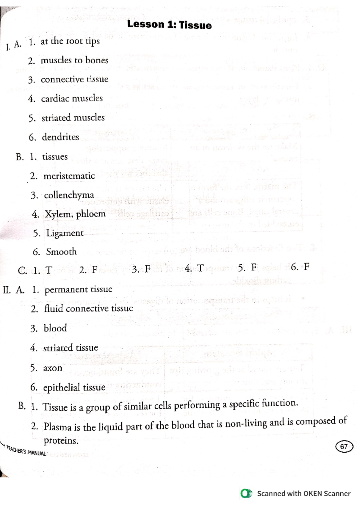 Tissue Notes - This a great Educational documents - Lesson 1: Tissue I ...
