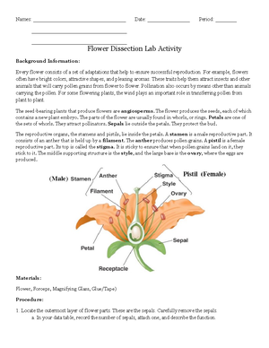 Chapter 4 revised - Thesis - CHAPTER 4 PRESENTATION, ANALYSIS AND ...