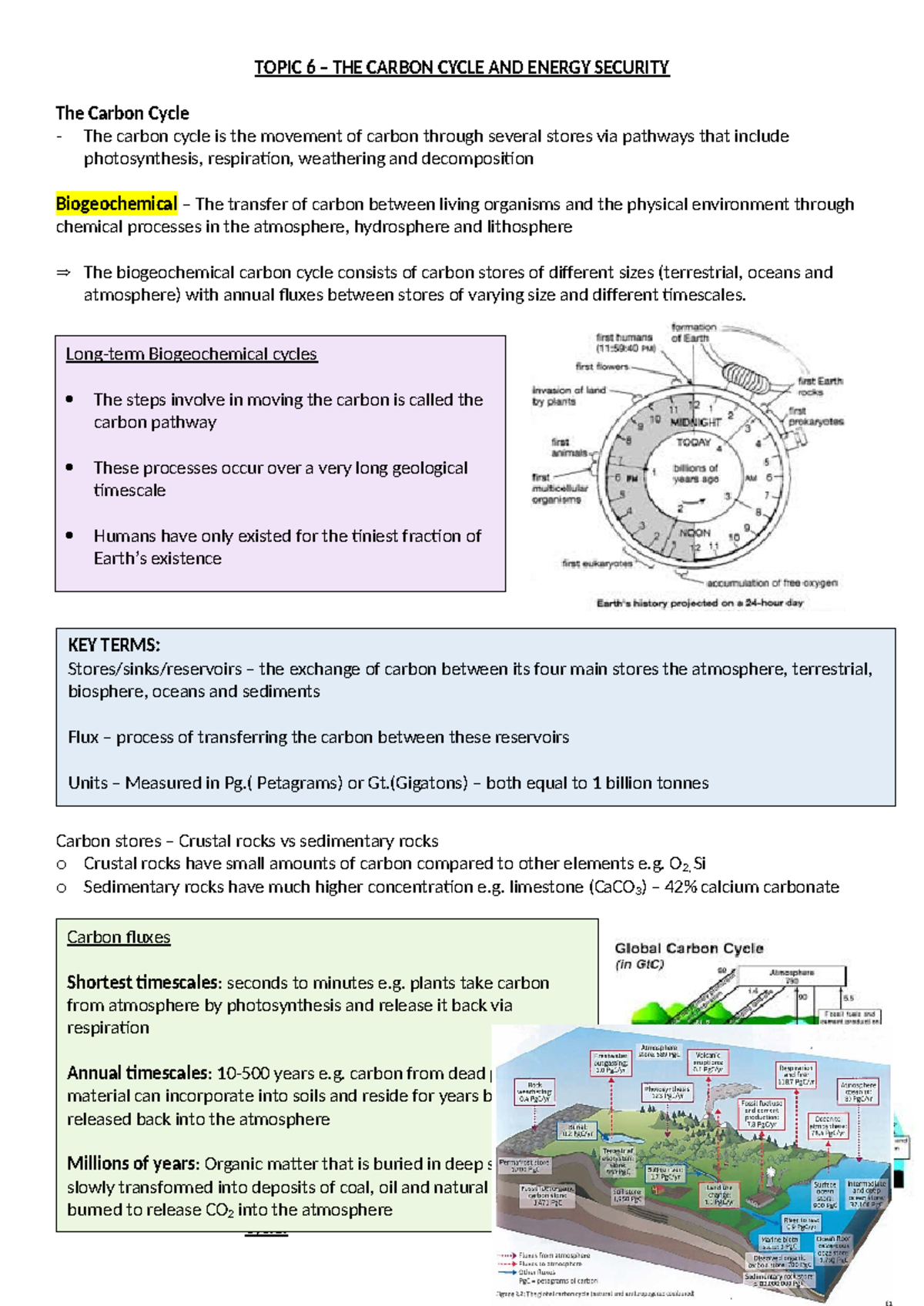 Topic 6 - The Carbon Cycle - TOPIC 6 – THE CARBON CYCLE AND ENERGY ...