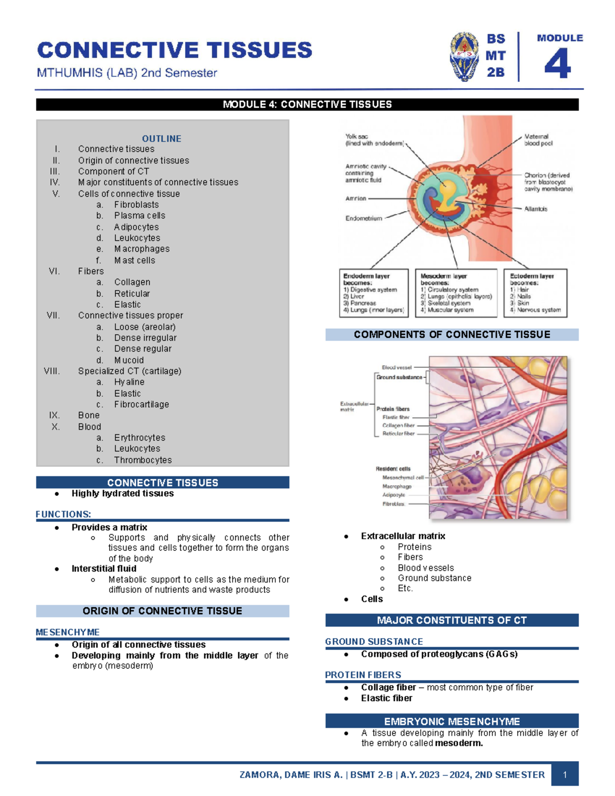 Histo LAB MOD 4 - OUTLINE I. Connective tissues II. Origin of ...