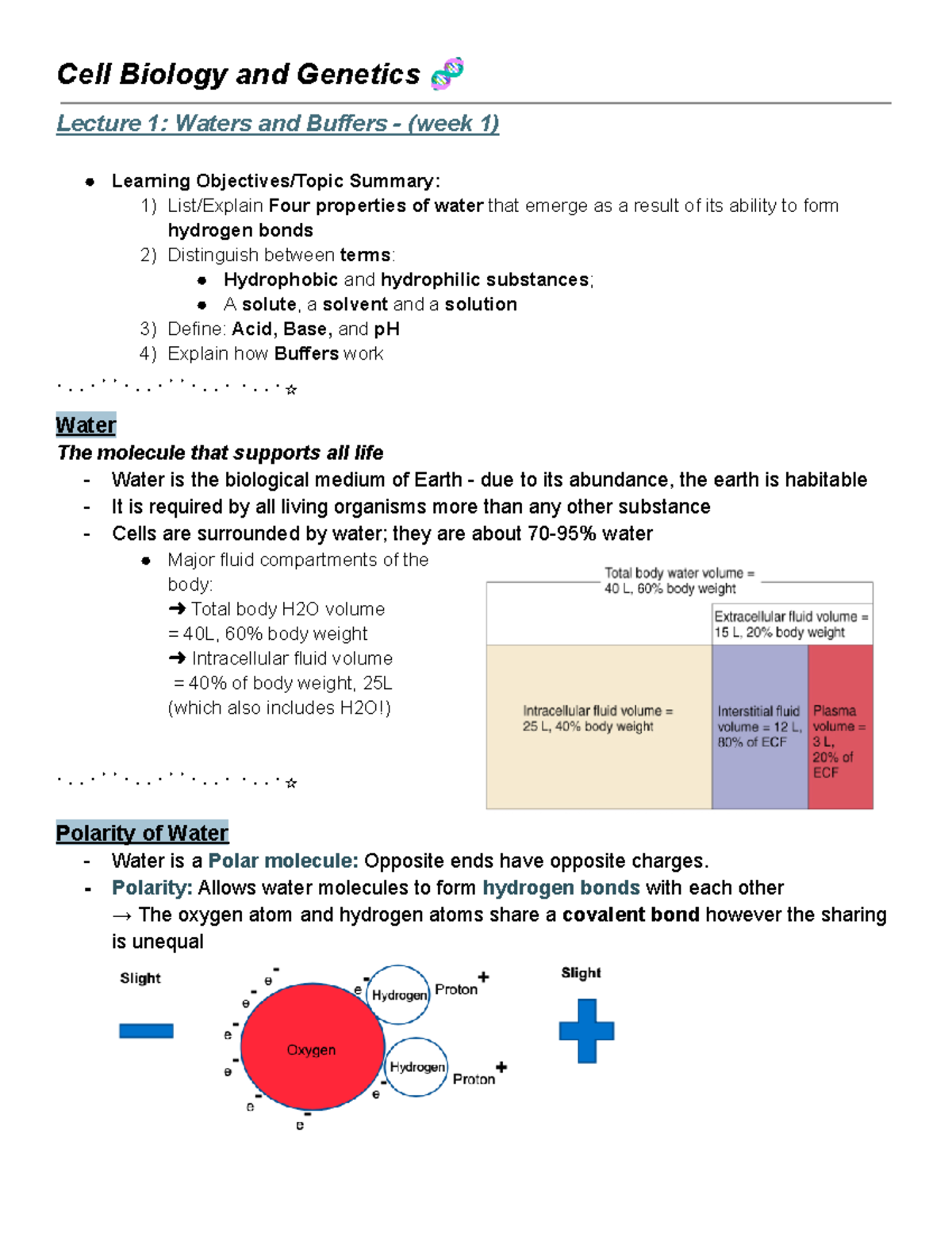91161 Cell Biology and Genetics Notes [Lecture 1-5] - Cell Biology and ...