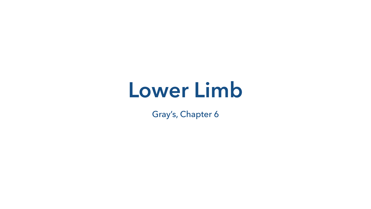 03 Lower Limb - Hand detailed notes - Lower Limb Gray’s, Chapter 6 ...