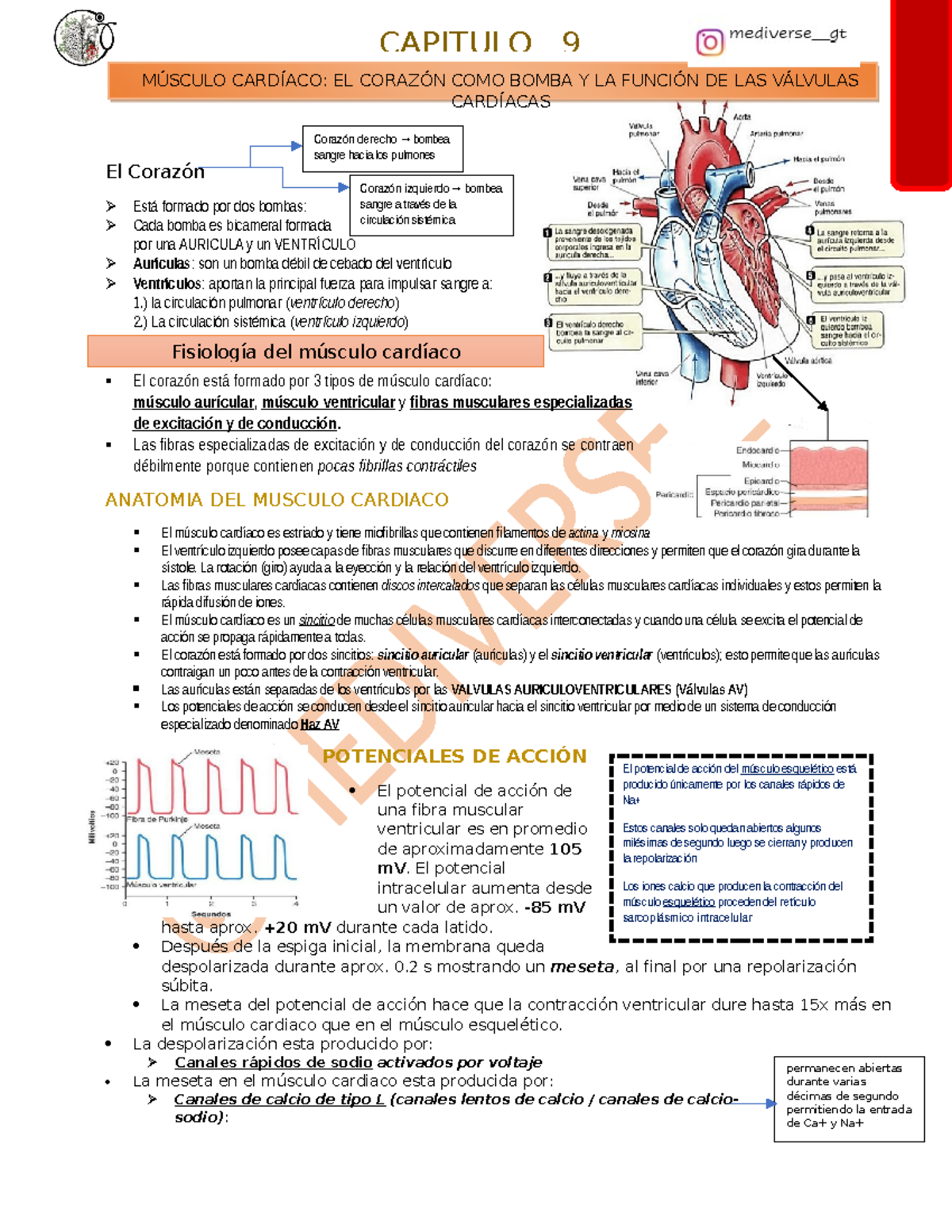CAP 9 Fisiologia de Guyton - MÚSCULO CARDÍACO: EL CORAZÓN COMO BOMBA Y LA FUNCIÓN DE LAS ...