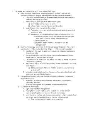 NSCI Midterm 2 Review Notes - I. THE ESSENTIALS (per the review session ...