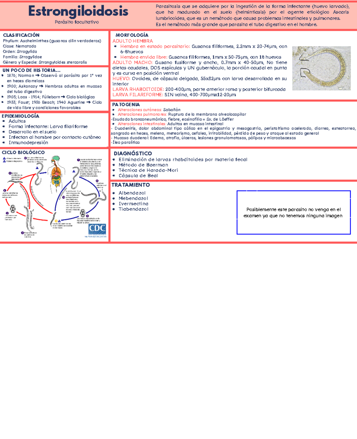 Estrongiloidosis - Parasitosis que se adquiere por la ingestión de la ...