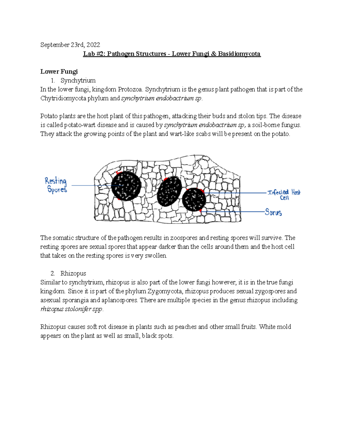 Lab 2 - PLNT 205 - September 23rd, 2022 Lab #2: Pathogen Structures ...