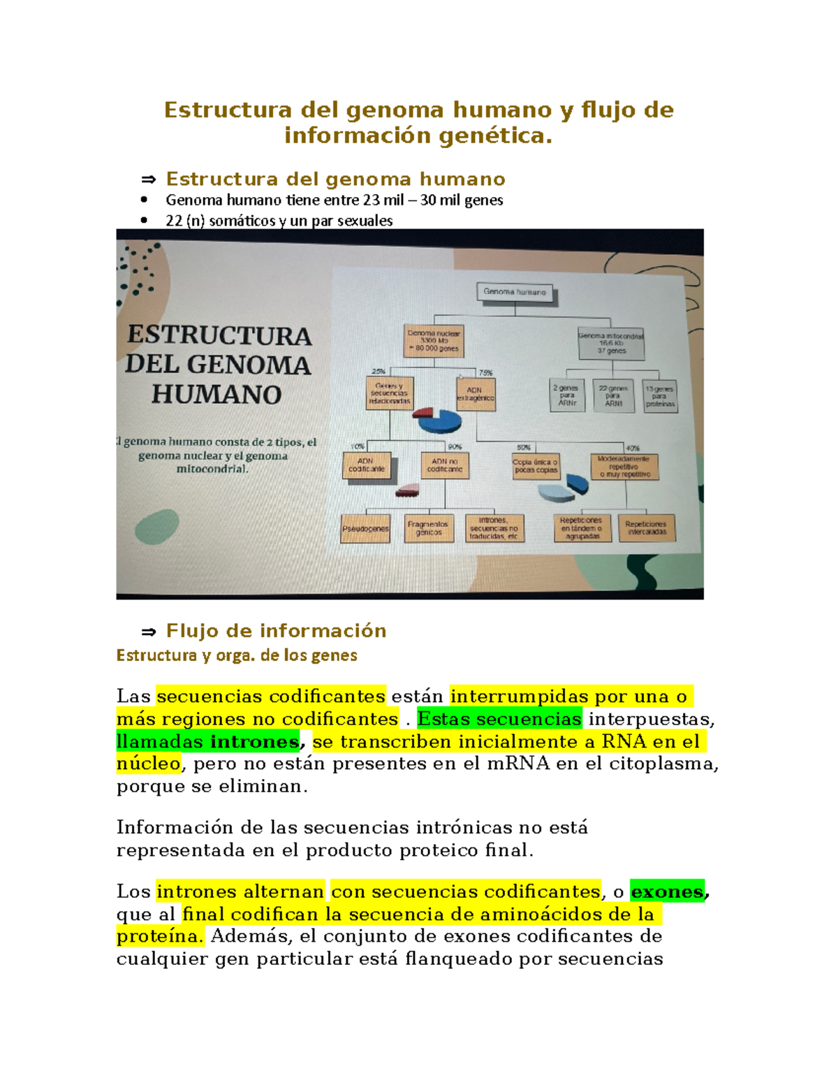 Estructura del genoma humano y flujo de información genética ...