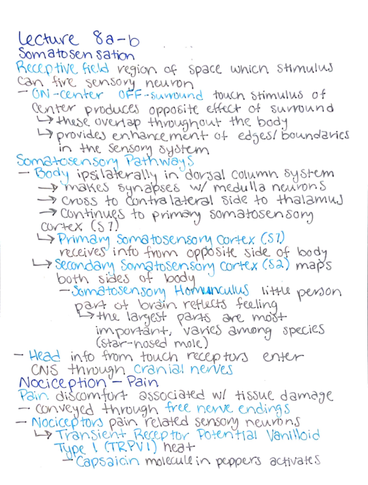 Week 8A - lecture and assigned reading notes - lecture 8a-b ...
