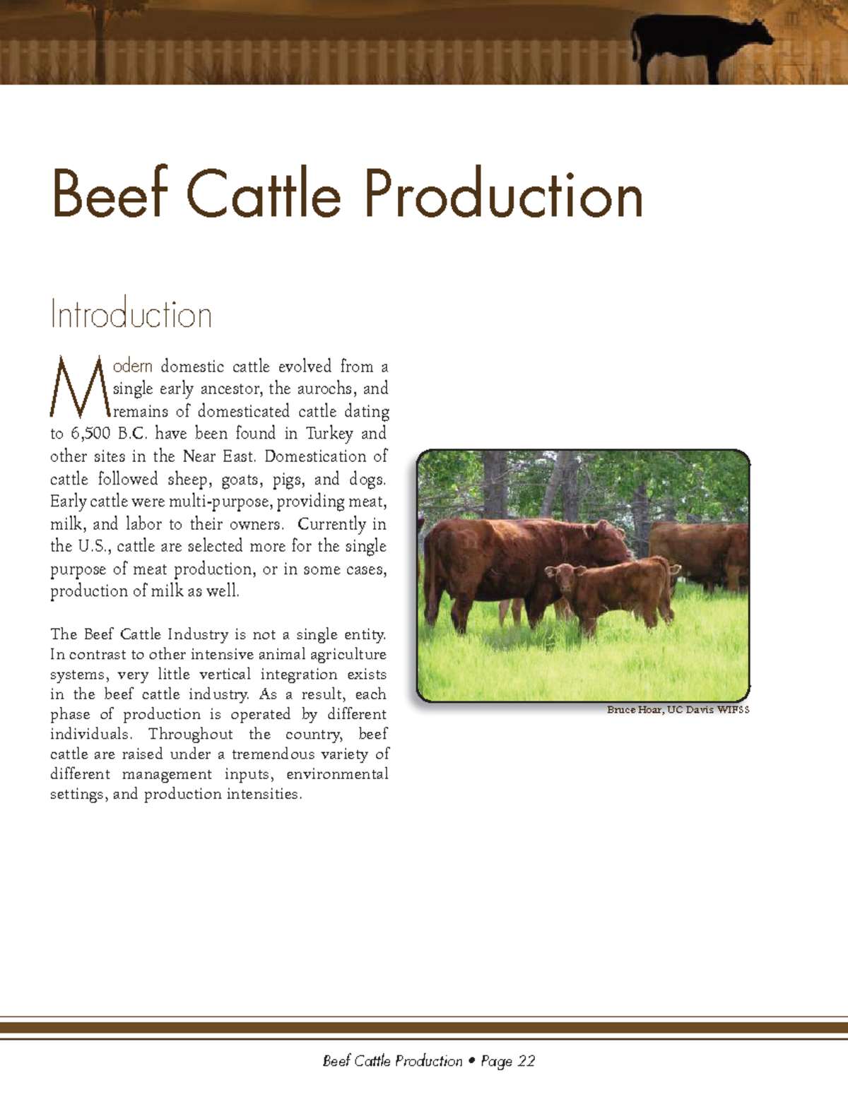 Beef Food Animal Production - Bruce Hoar, UC Davis WIFSS Beef Cattle ...