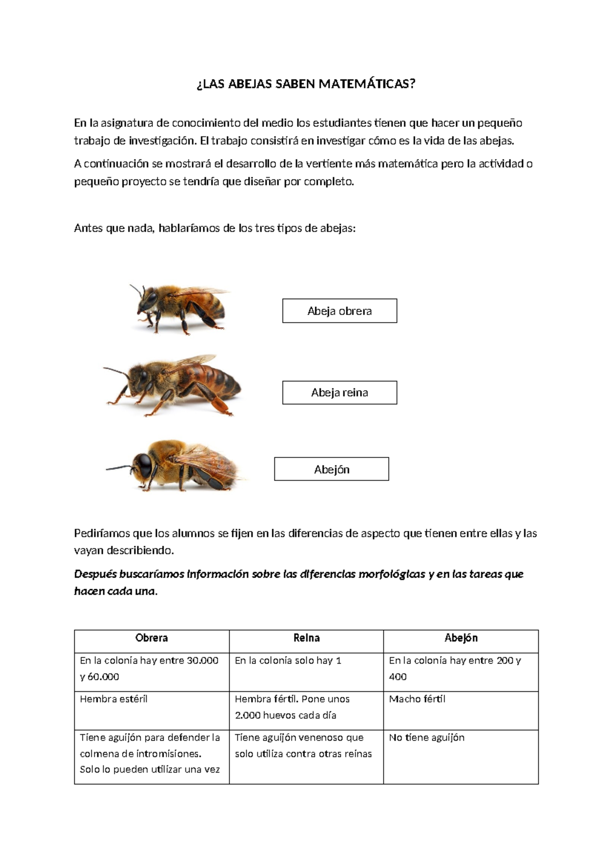 LAS Abejas Saben Matematicas - ¿LAS ABEJAS SABEN MATEMÁTICAS? En la ...