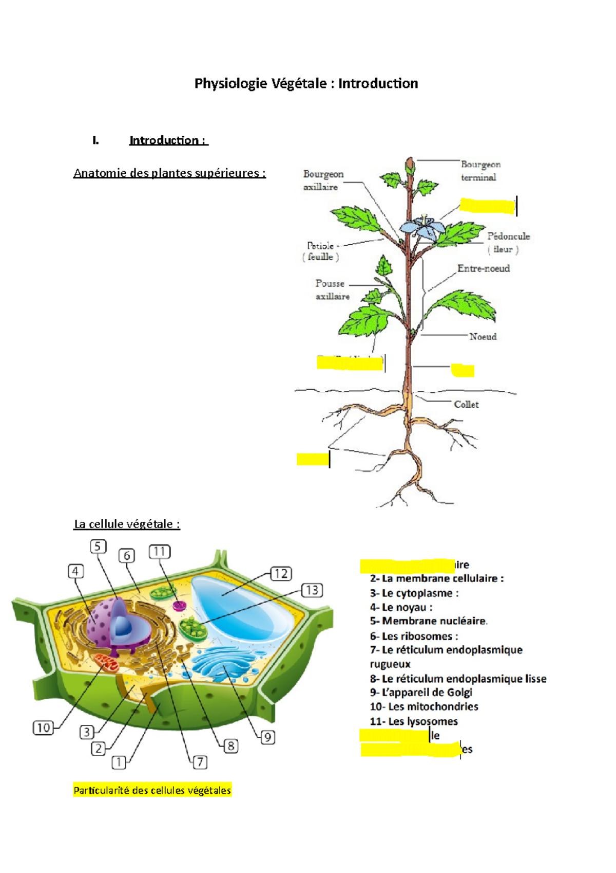 Physiologie Végétale 1er cours - Physiologie Végétale : Introduction I ...