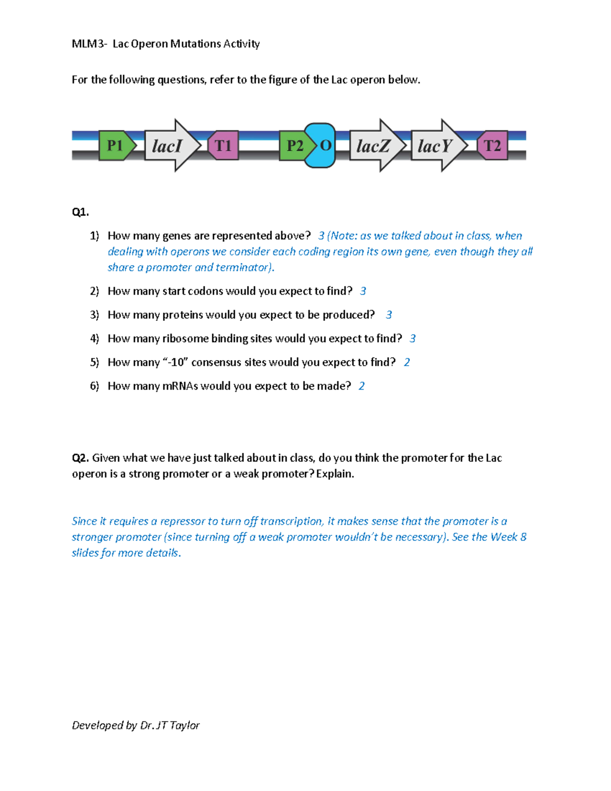 Lac Operon Activity - Answer Key - MLM3- Lac Operon Mutations Activity ...