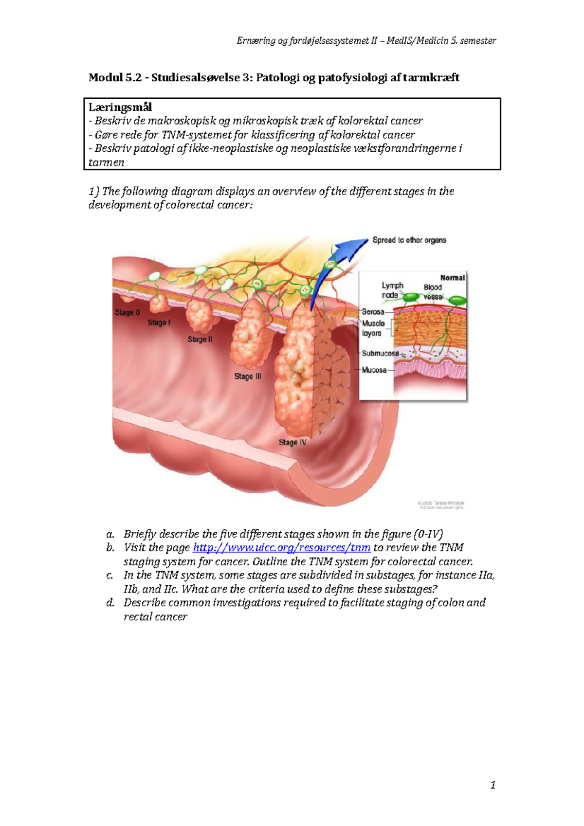 Modul 5.2- Studiesal wk 3 - 2021 - Modul 5 - Studiesalsøvelse 3 ...