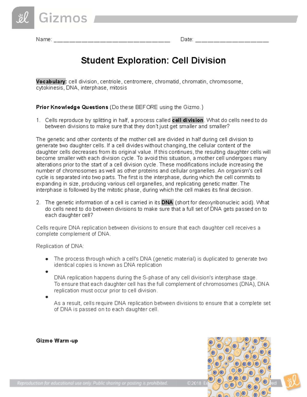 Cell Division SE - assigment - Name ...