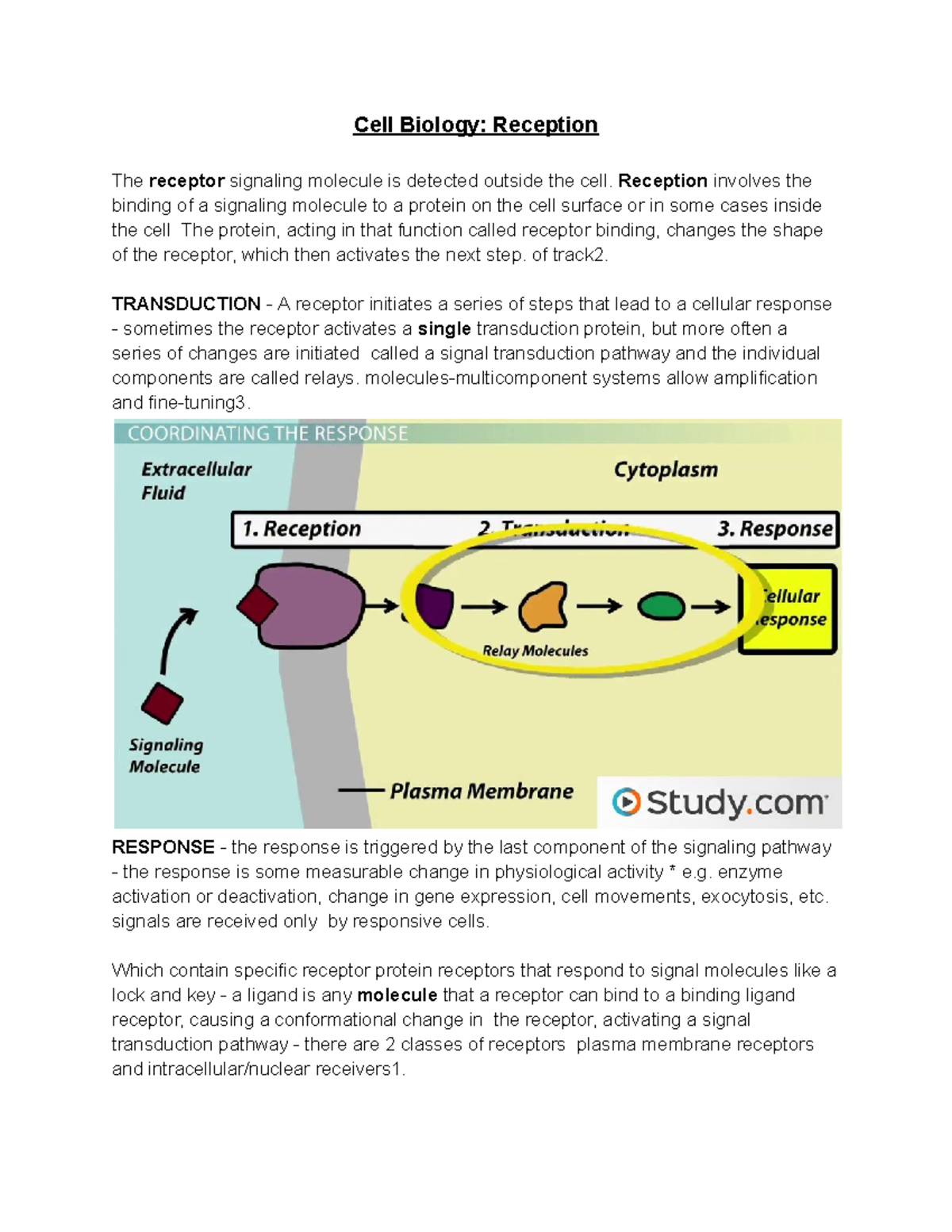 Cell Biology Reception - Cell Biology: Reception The receptor signaling ...