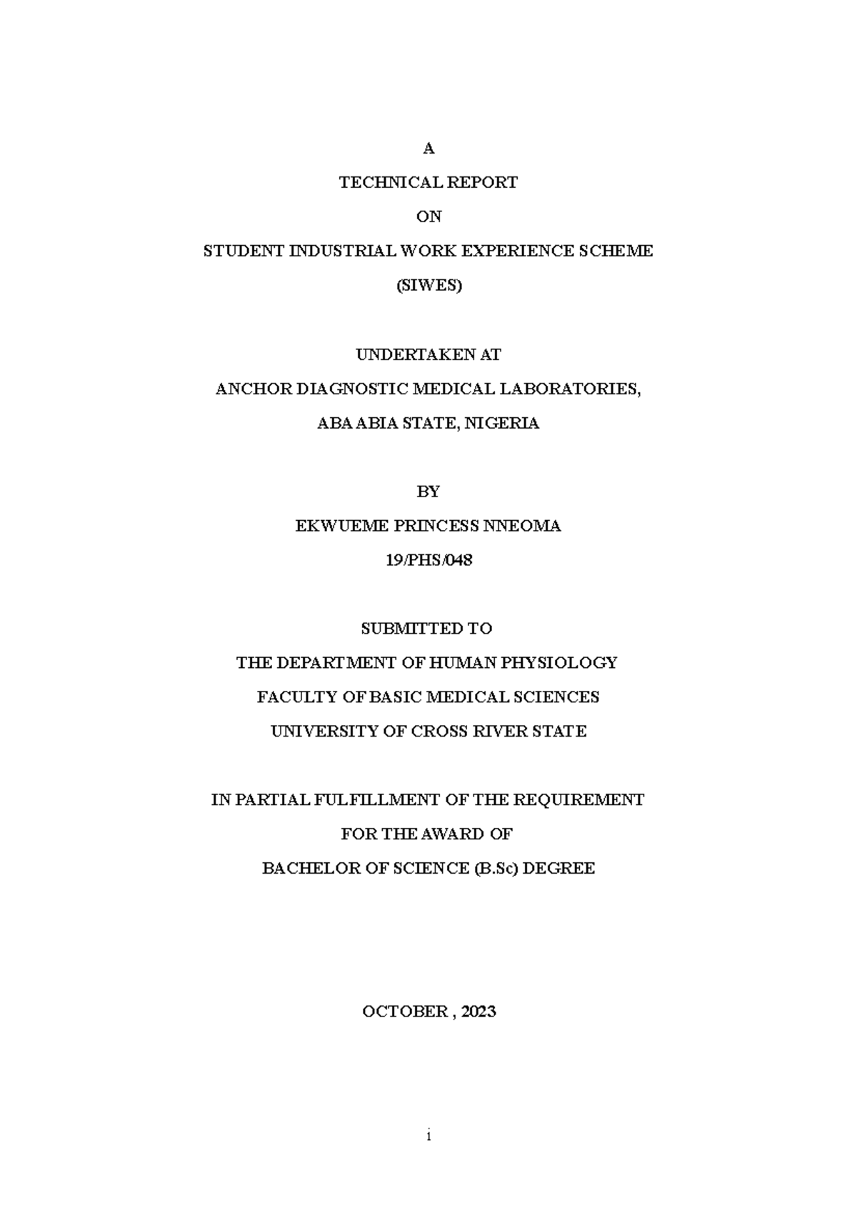 Princess IT Report - A TECHNICAL REPORT ON STUDENT INDUSTRIAL WORK ...