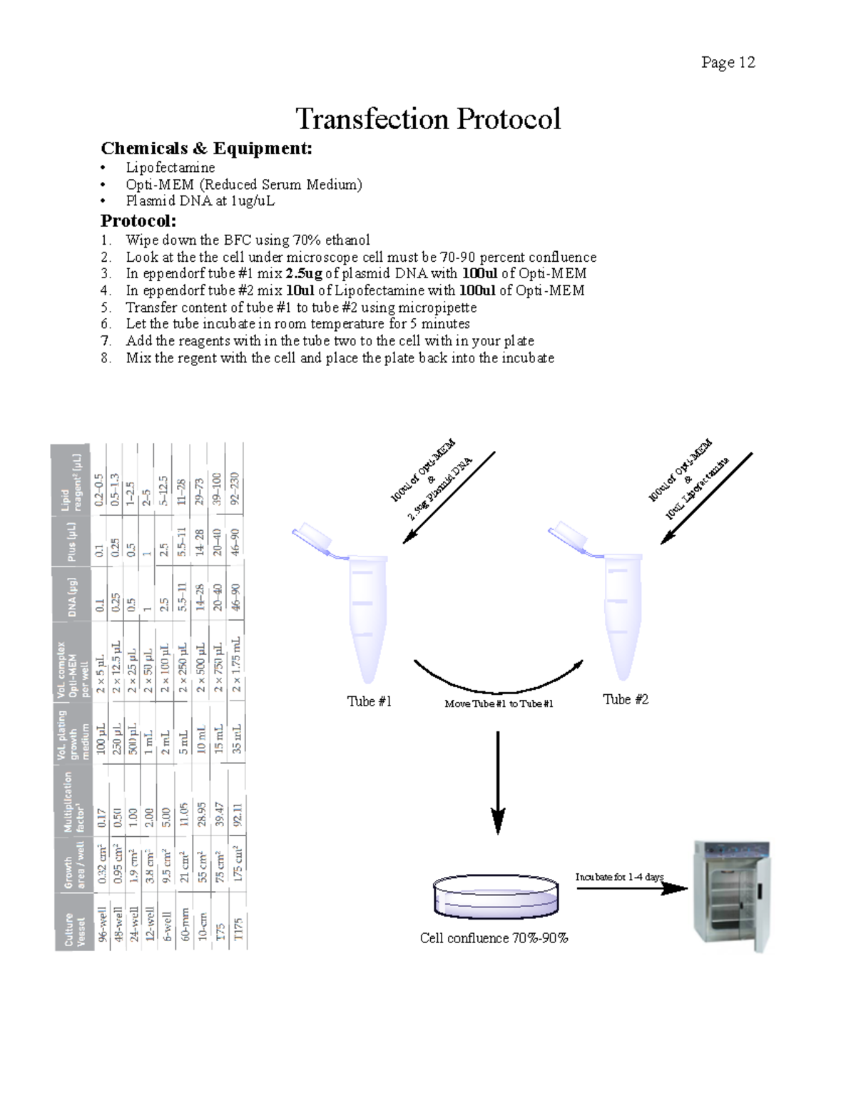 Transfection Protocol Œ - Page! 21 Transfection Protocol Chemicals ...