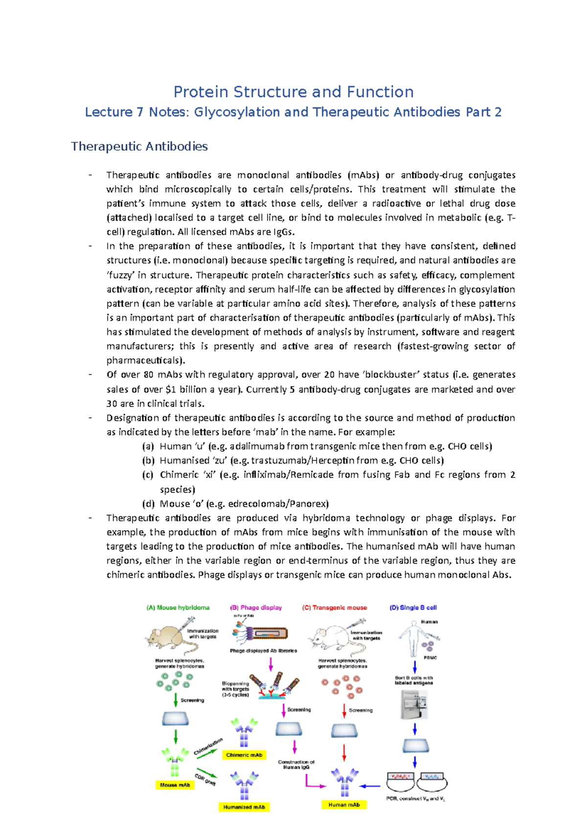 Lecture 7 Notes (Glycosylation and Therapeutic Antibodies Part 2 ...