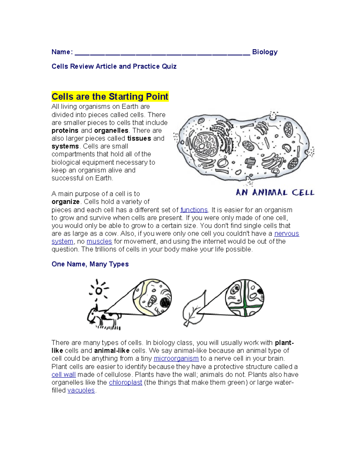 Cells Review article - did it - Name ...