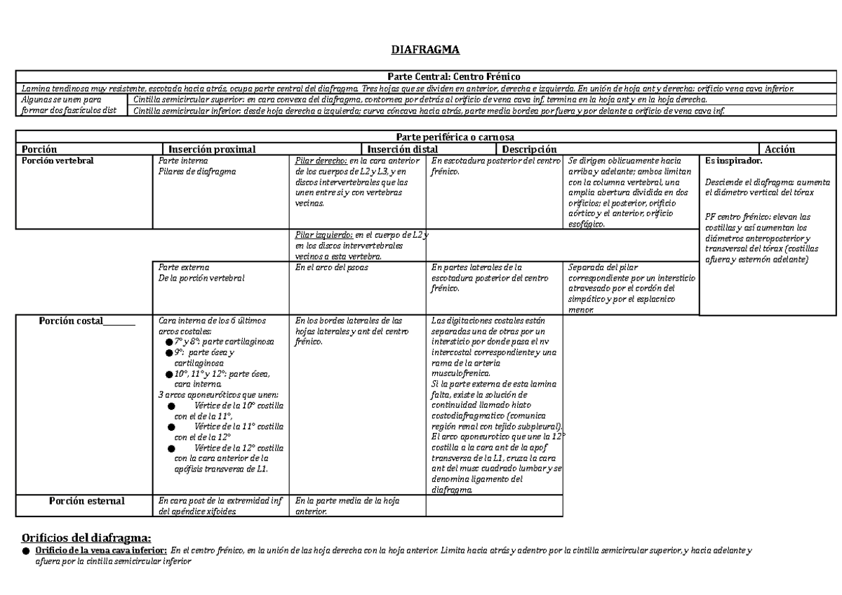 Diafragma anatomia - DIAFRAGMA Parte Central: Centro Frénico Lamina ...