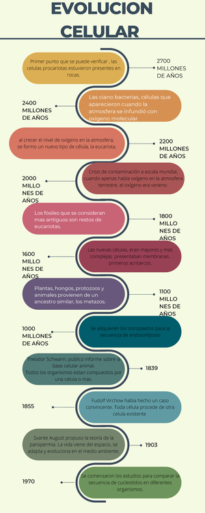 Cuadro comparativo de los patrones de produccion y consumo entre mexico ...