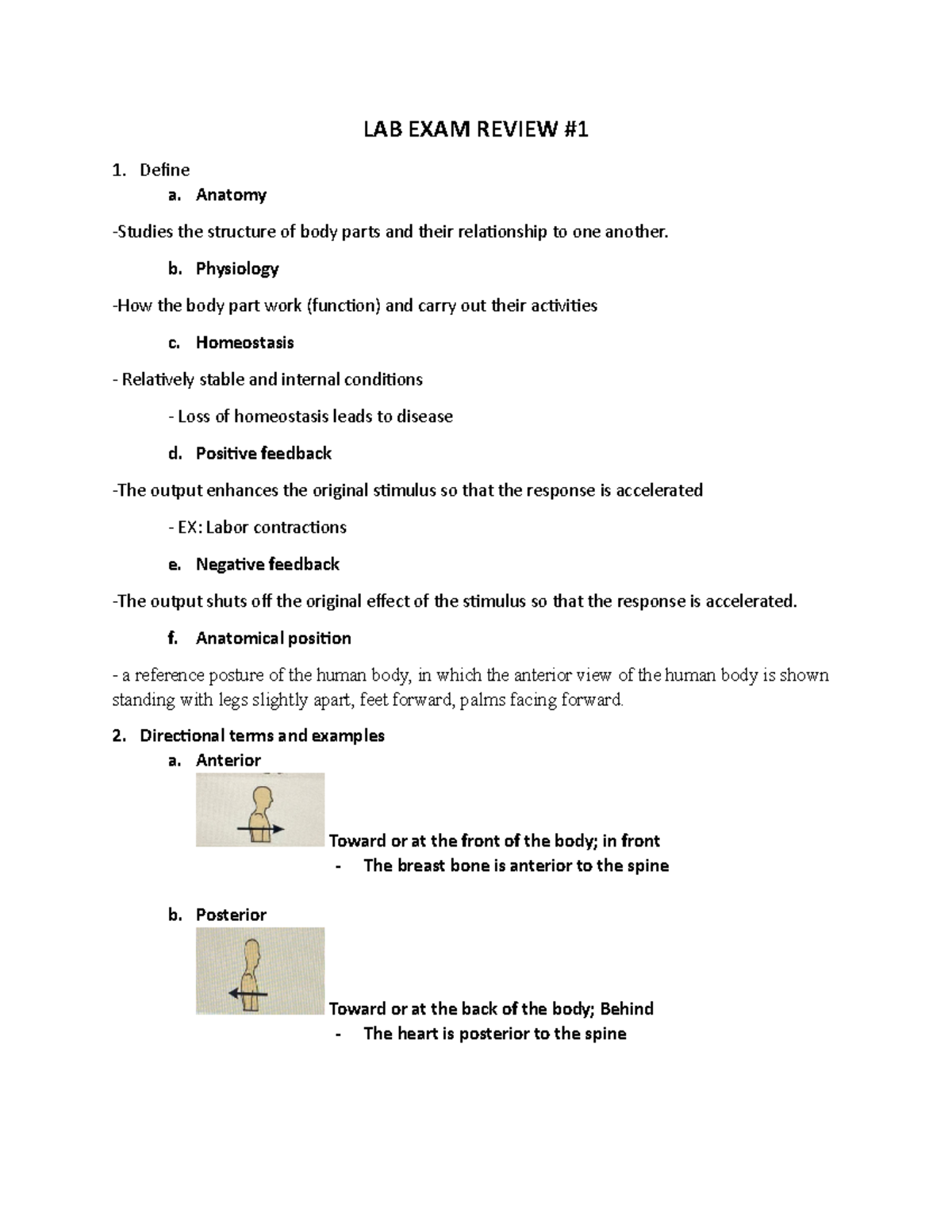 LAB EXAM Review 1 - LAB EXAM REVIEW Define a. Anatomy -Studies the ...