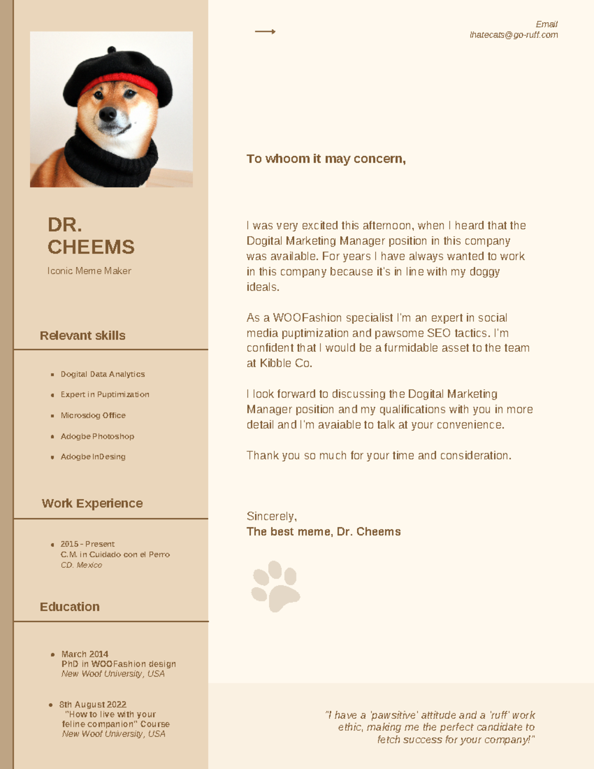 CV Fake - I was very excited this afternoon, when I heard that the Dogital Marketing Manager ...