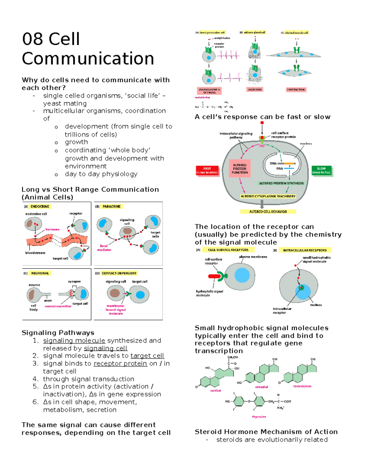 BIO 130 08 Cell Communication - 08 Cell Communication Why do cells need ...
