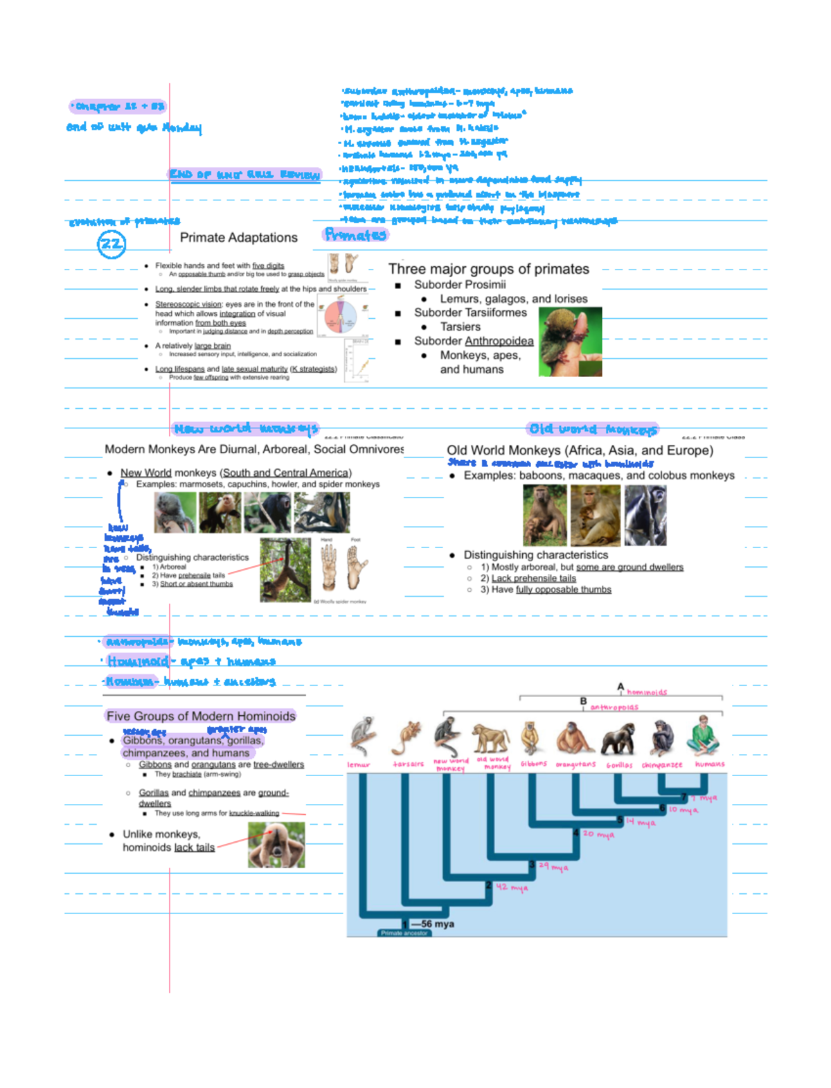 End of Unit Quiz Review Summary - BIOL 121 - Studocu