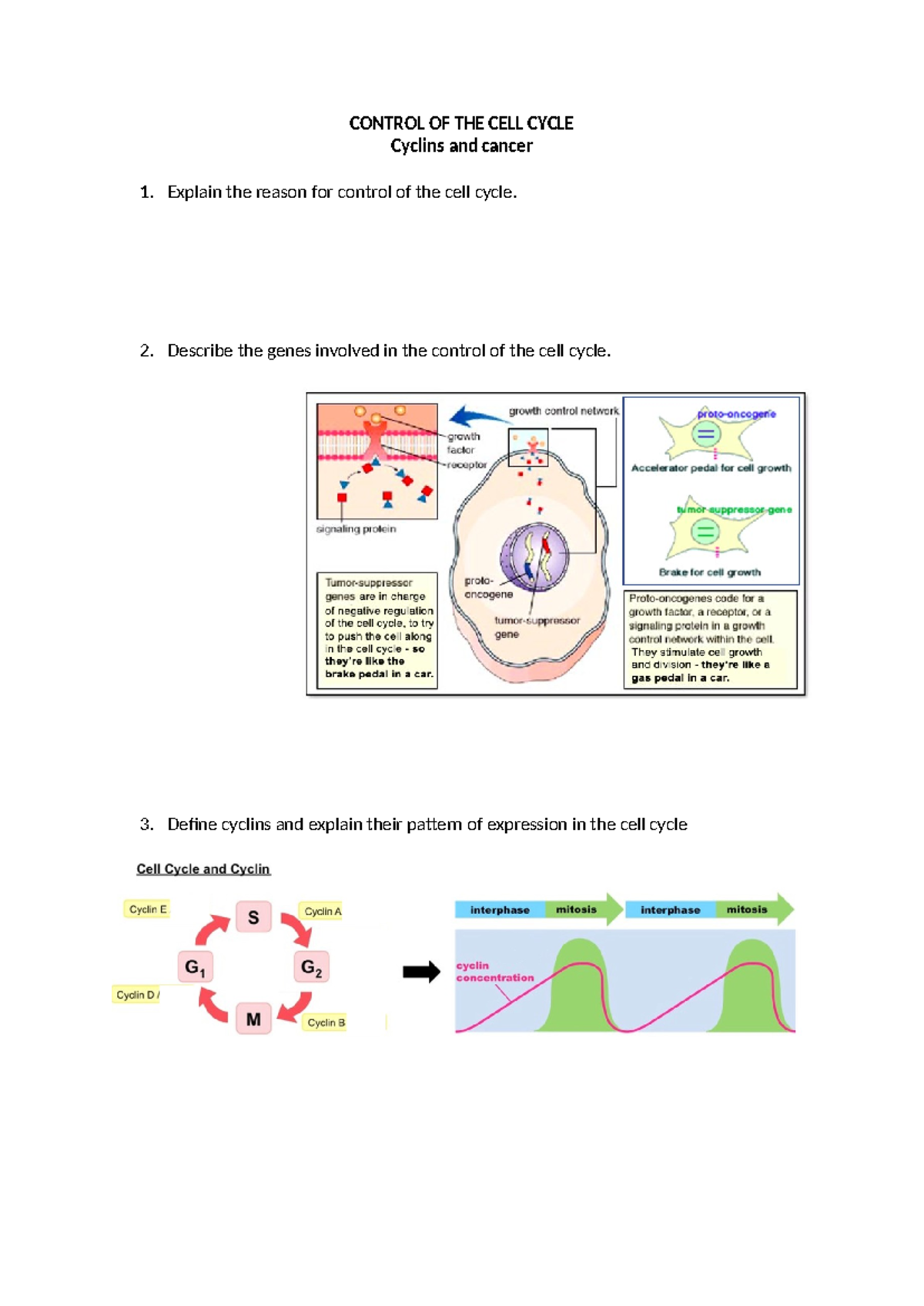 Cyclins and cancer worksheet - Biologia - CONTROL OF THE CELL CYCLE ...