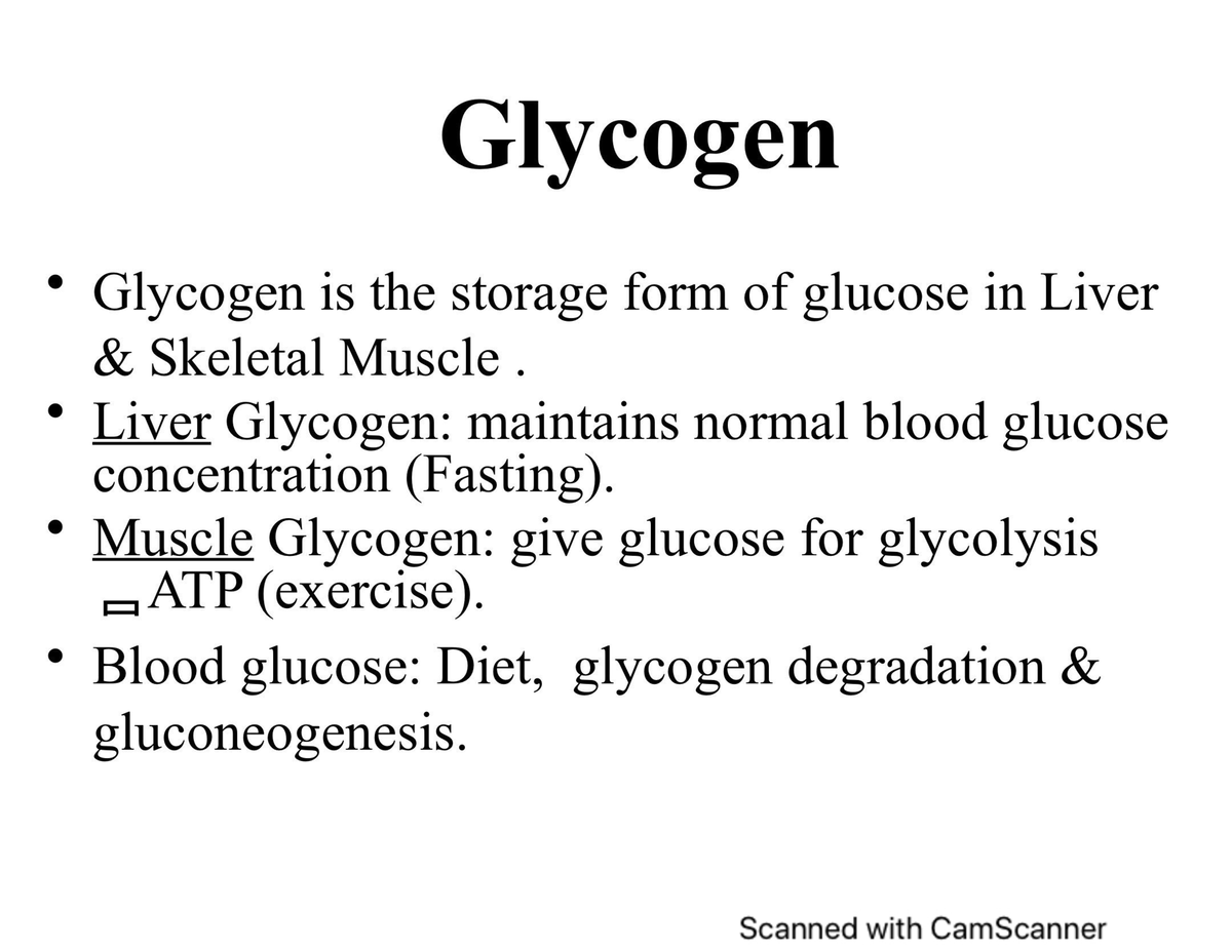 Cho-metabolism-Glycogen - Biochemistry - Studocu