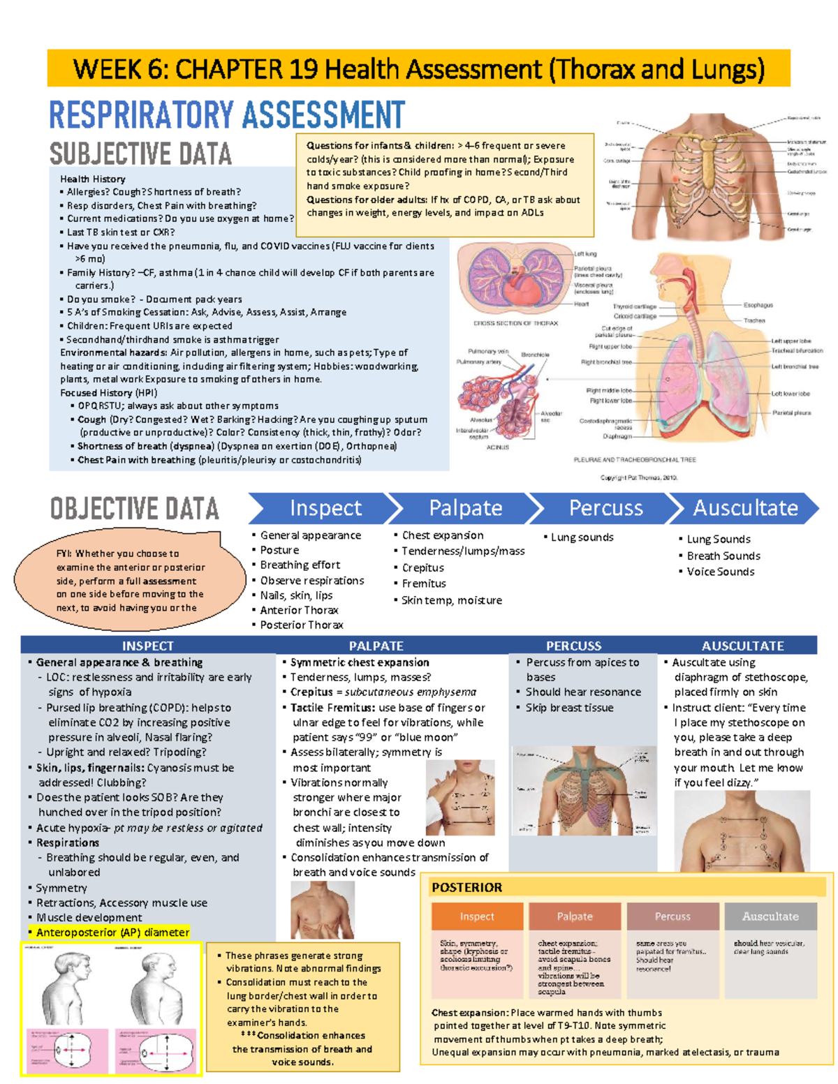 Respiratory and Abdominal Assessment - WEEK 6 : CHAPTER 19 Health ...