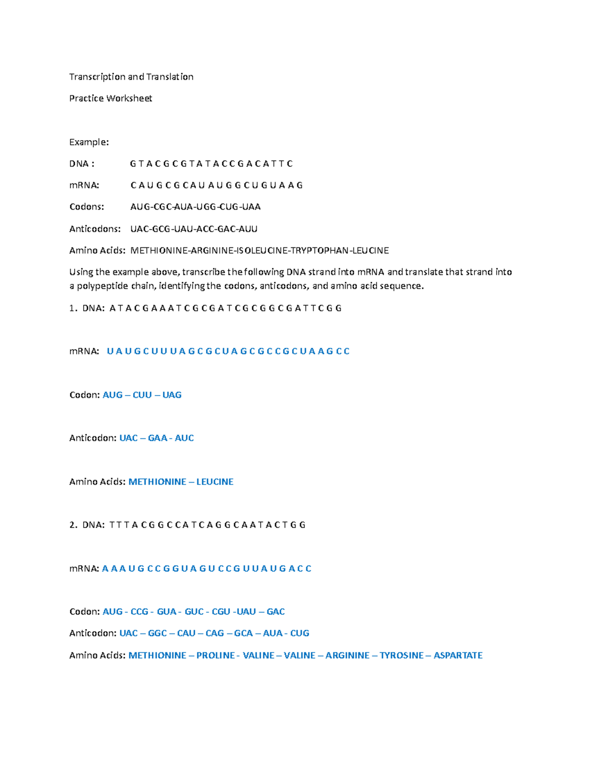 Transcription and Translation Worksheet - Transcription and Translation ...