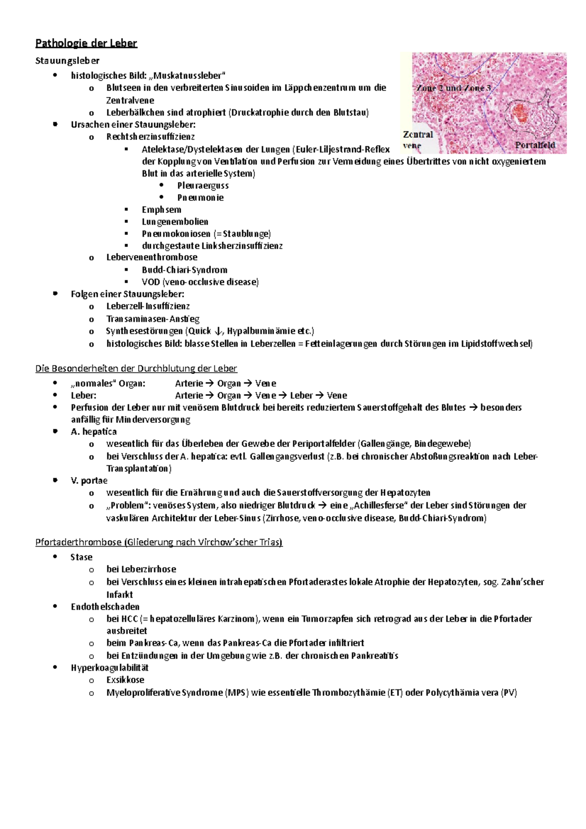 11 - Pathologie der Leber, 12 - Anämie - Pathologie der Leber ...