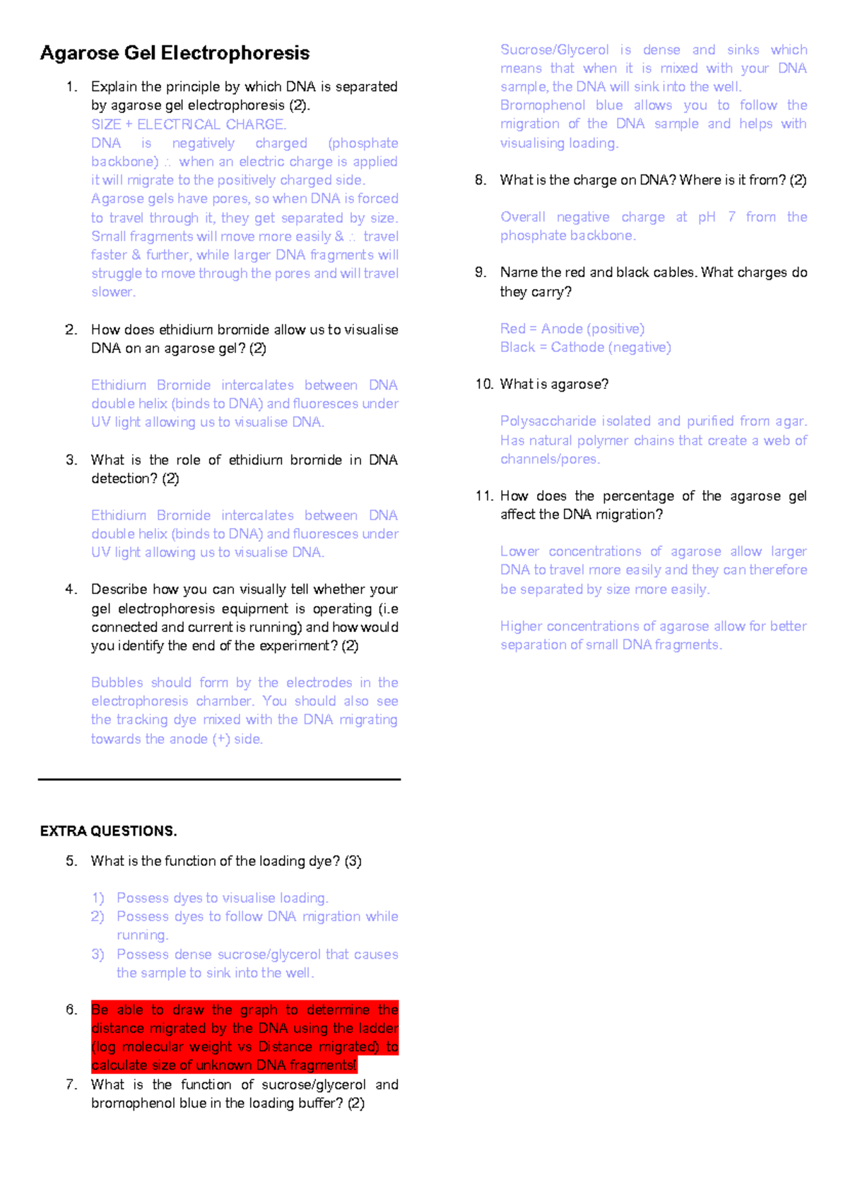 1 Agarose Gel Electrophoresis Prep Questions - Agarose Gel ...