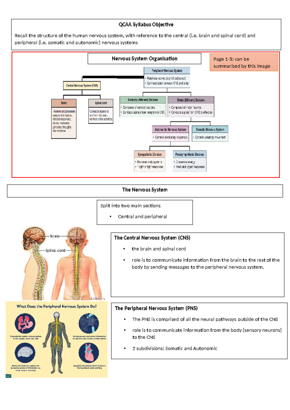 Note for P5 - Psychology note on Unit 3 Topic 7 - QCAA Syllabus ...