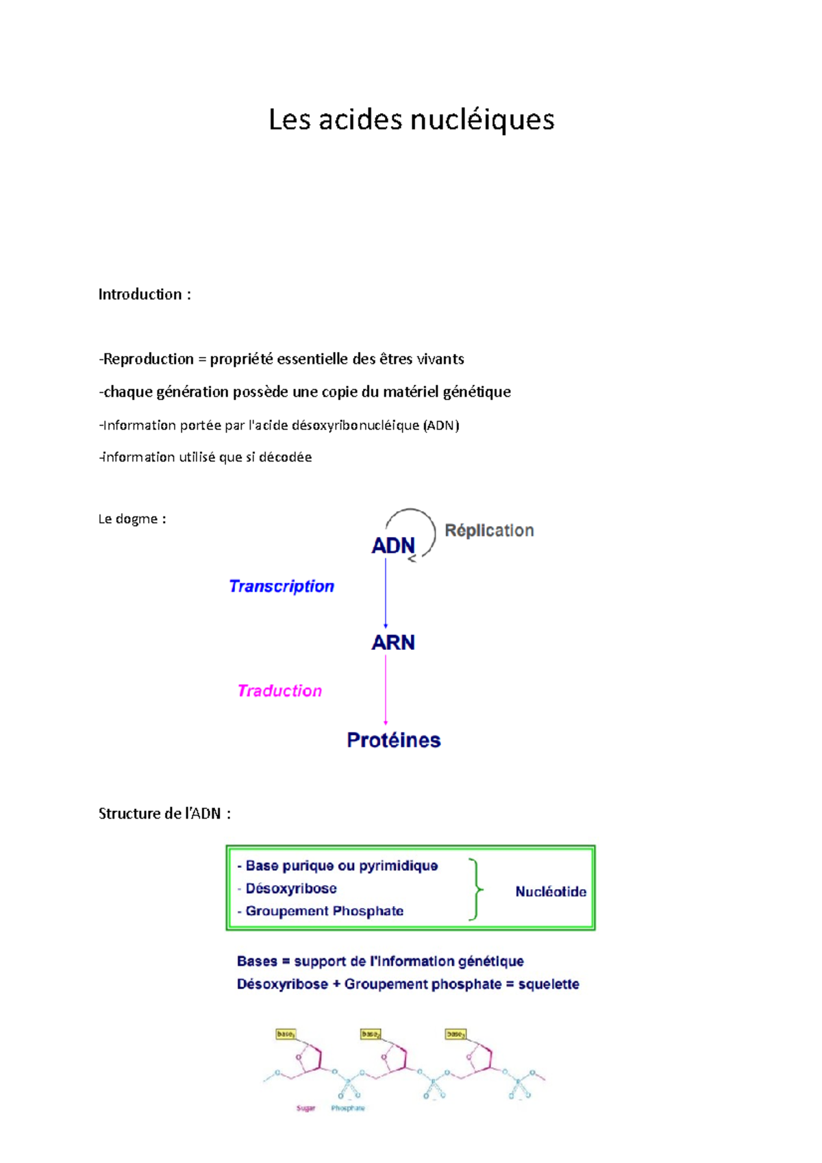 Les acides nucléiques - it's my notes - Les acides nucléiques ...