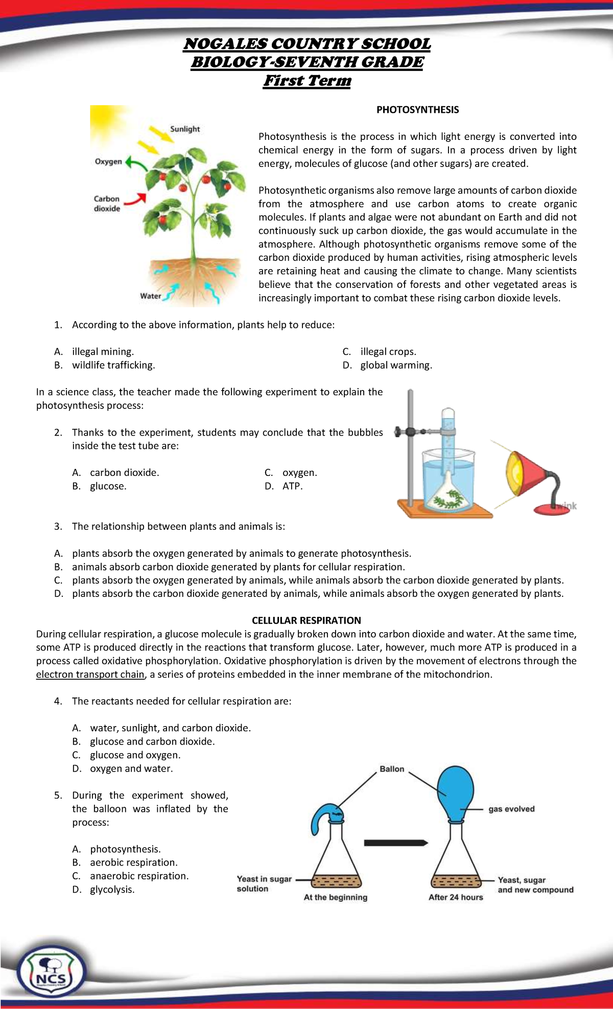 7th-Bimonthly exam-Natural Science-1 Term - NOGALES COUNTRY SCHOOL ...