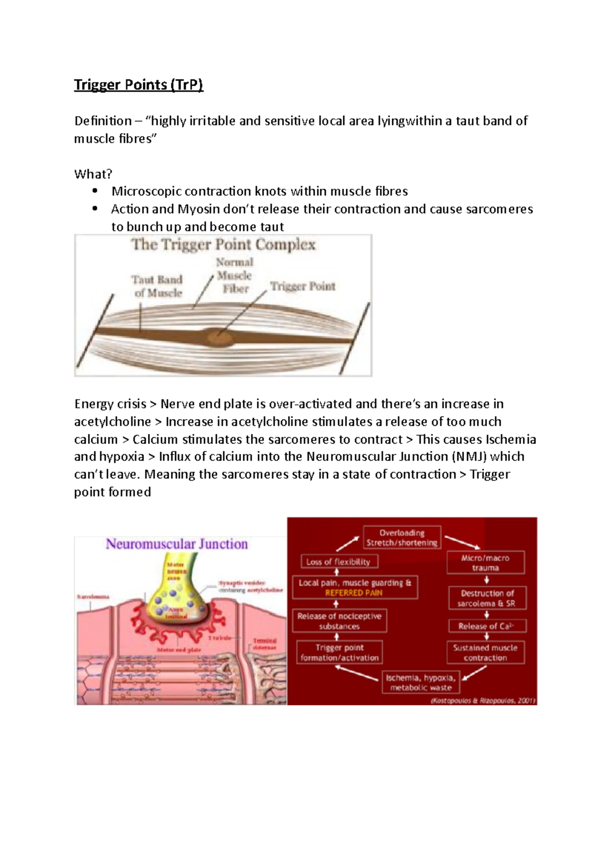 Trigger Points - Meaning the sarcomeres stay in a state of contraction ...